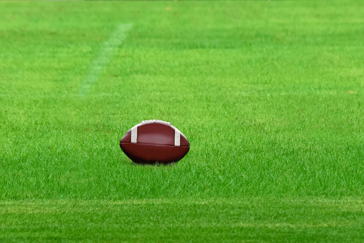 Football Defense: The Nickelback Position | ISNation