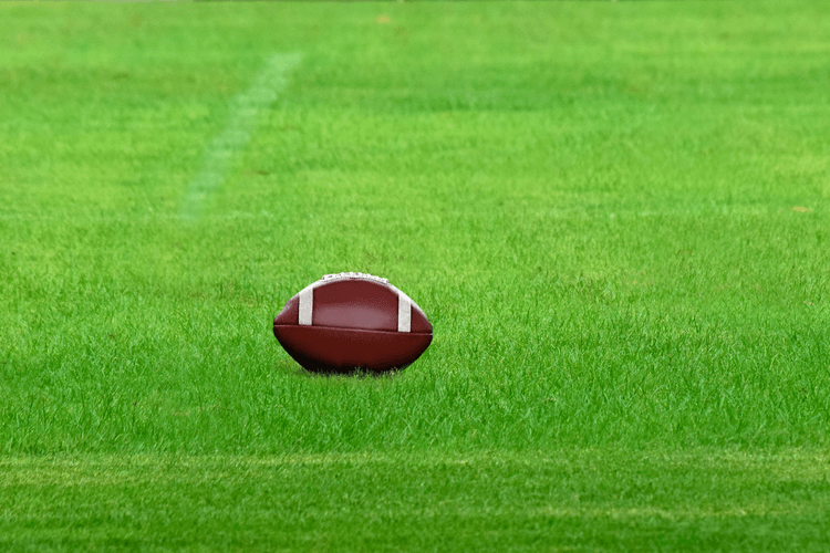Football Defense: The Nickelback Position | ISNation
