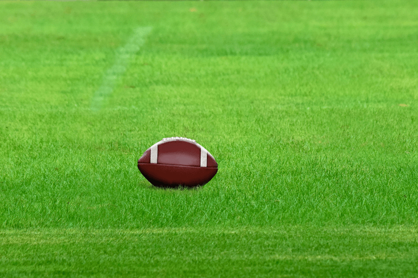 Football Defense: The Nickelback Position | ISNation